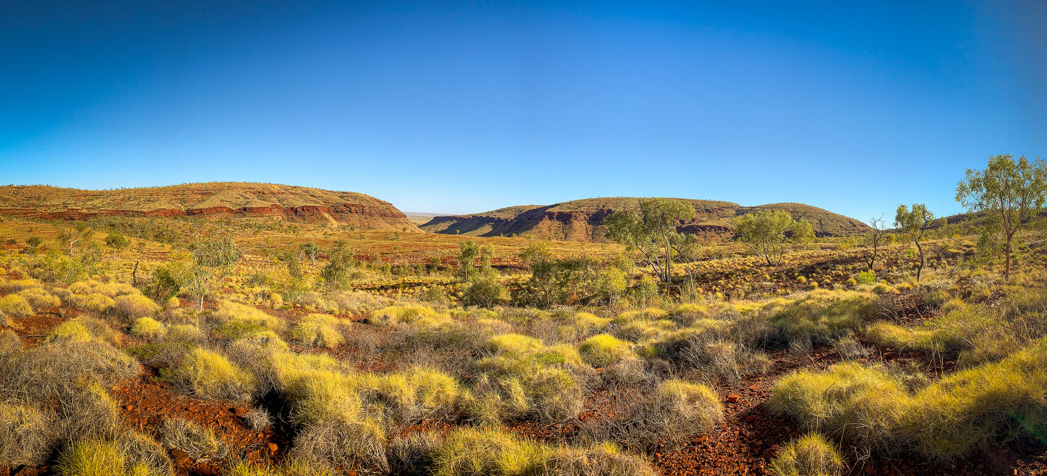 Health & safety - Pilbara Ecological